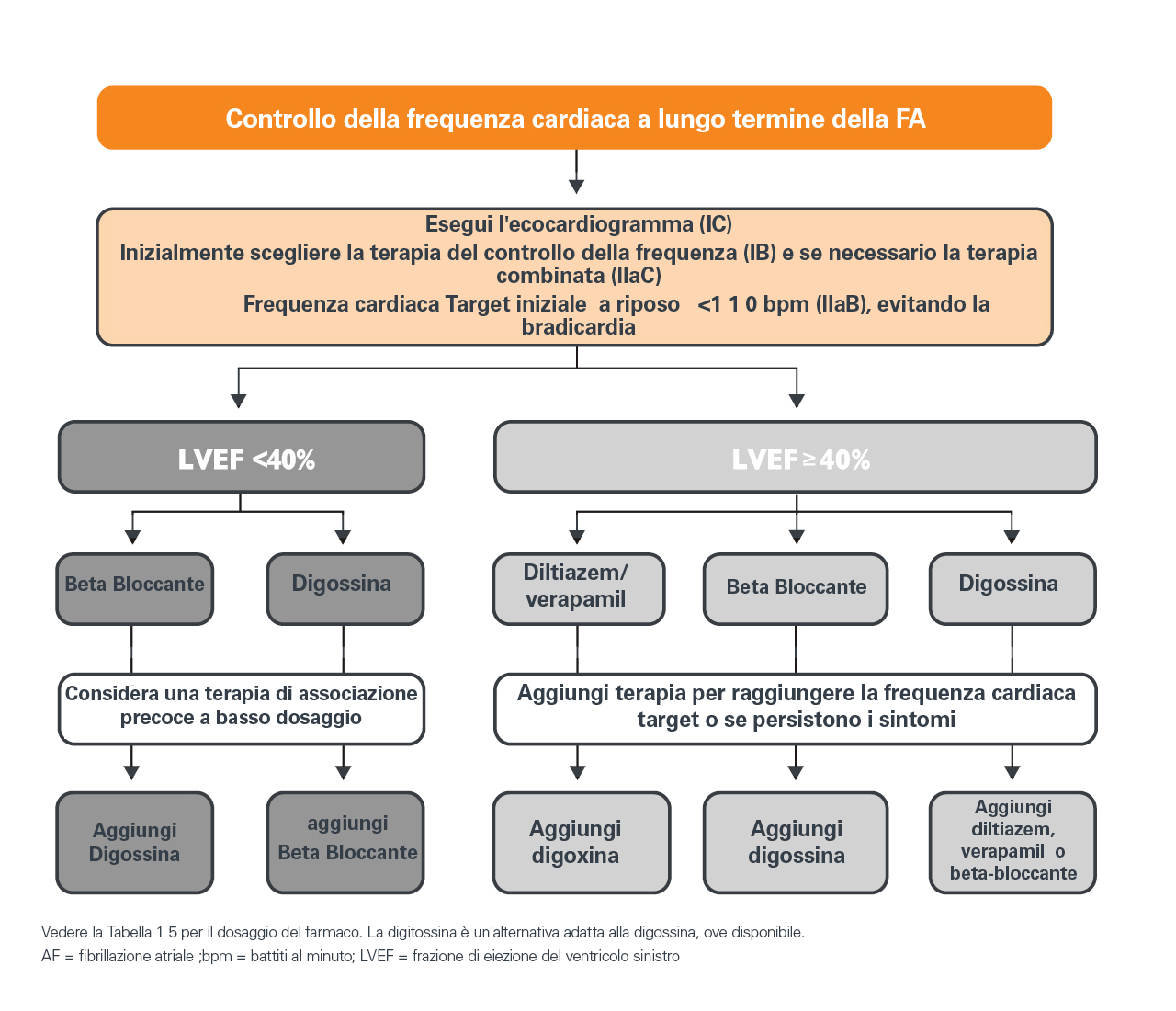 Approccio integrato alla gestione della FA | Conosci il Ritmo