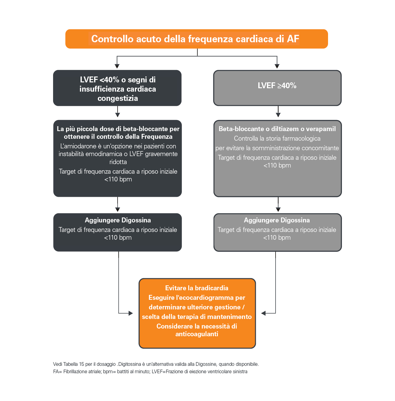 Approccio integrato alla gestione della FA | Conosci il Ritmo